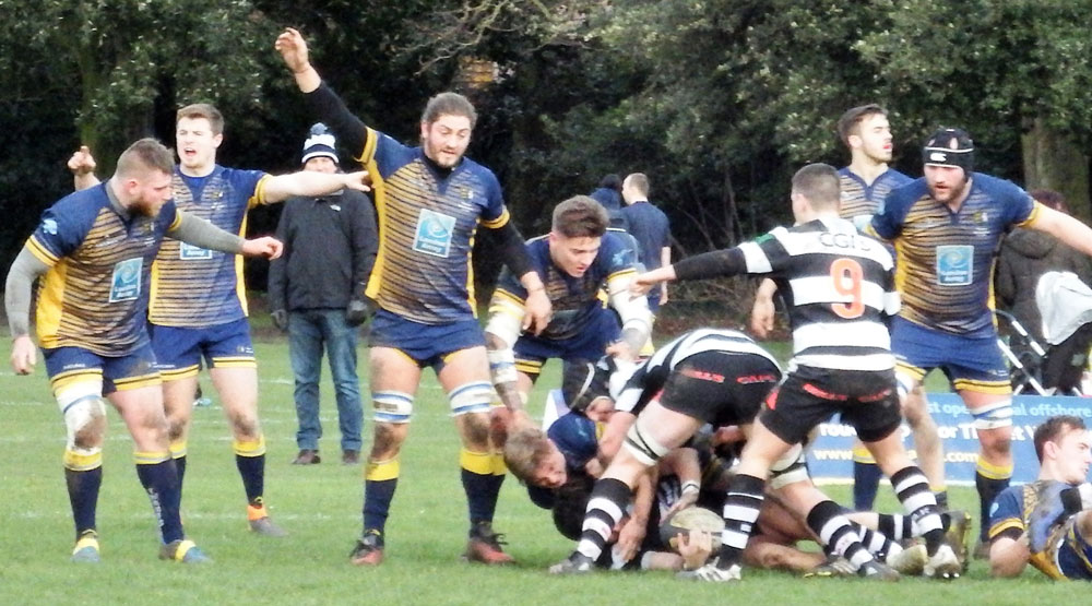 Thanet Wanderers Rugby Union Football Club