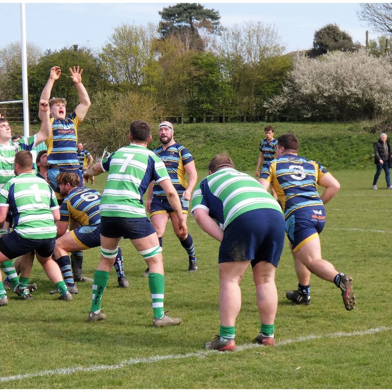1st XV v Folkestone - Papa John's Shield Quarter Final - Thanet ...