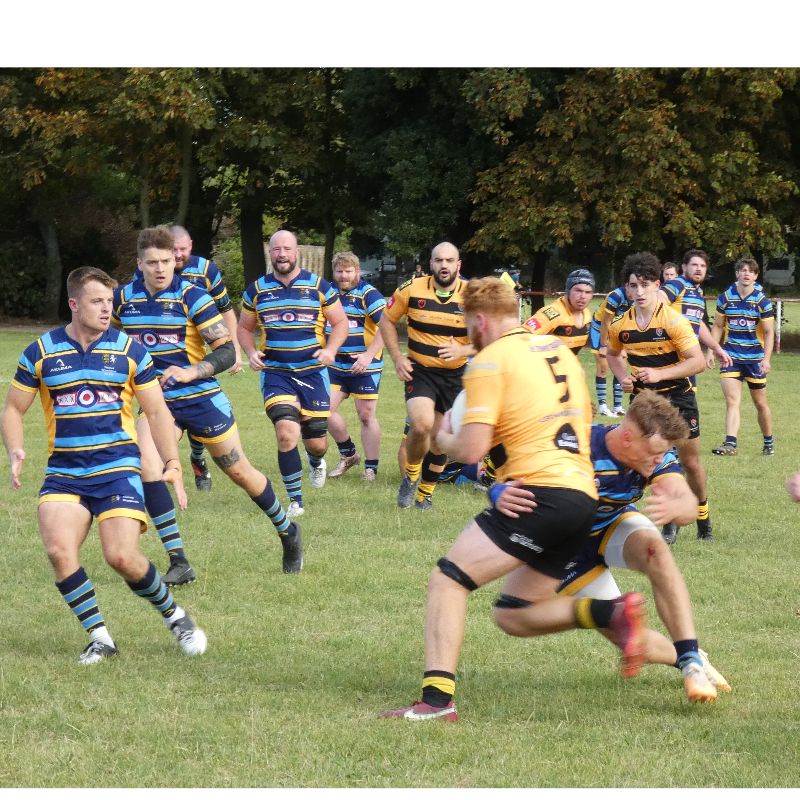1st XV v Canterbury - Counties 1 Kent - Thanet Wanderers Rugby Union ...