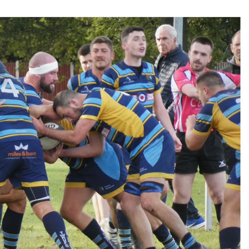 1st XV v Cranbrook - Counties 1 Kent - Thanet Wanderers Rugby Union ...